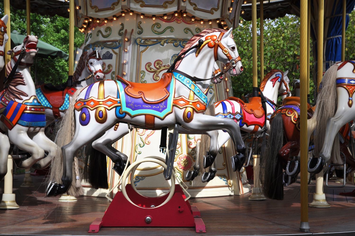 Jumping Off the Merry Go Round of Love by Tracy Thompson - Hypnosis ...